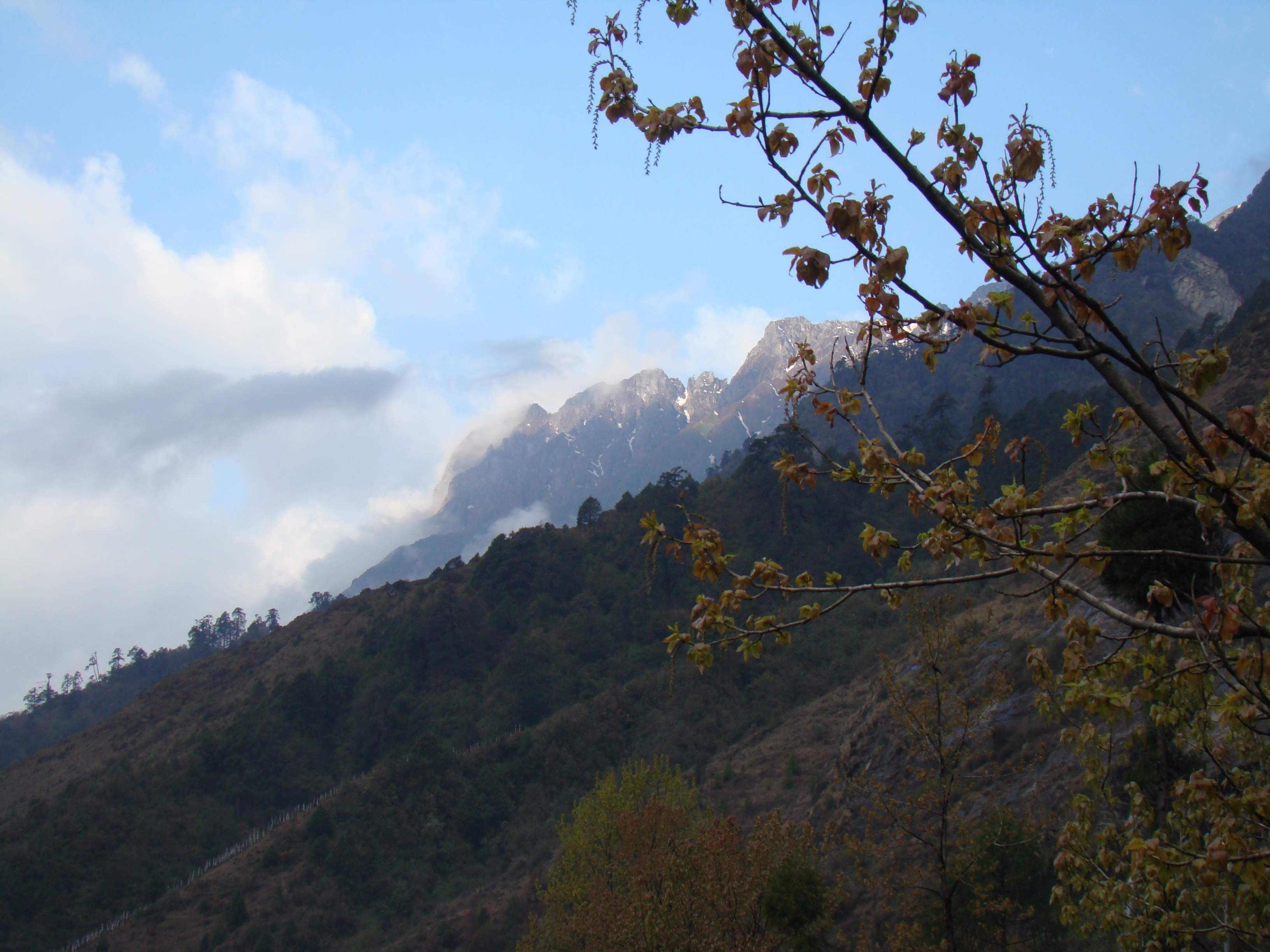 Sikkim Day 6 - Sikkim Pop and Zero Point Someone - m a n u s c r y p t s